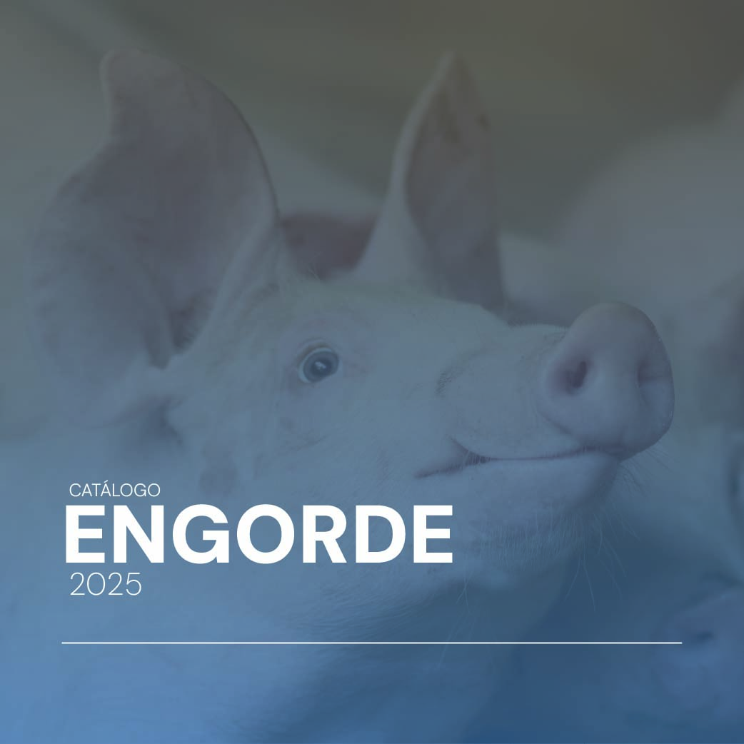 CATÁLOGO EQUIPAMIENTO PARA ENGORDE 2025 - Porinox SL